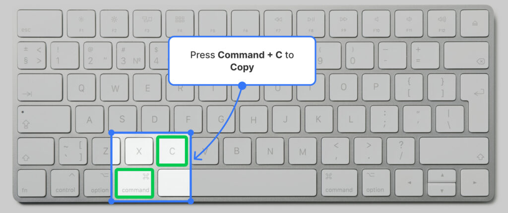 Copy and Paste Diagram Shapes | Slickplan